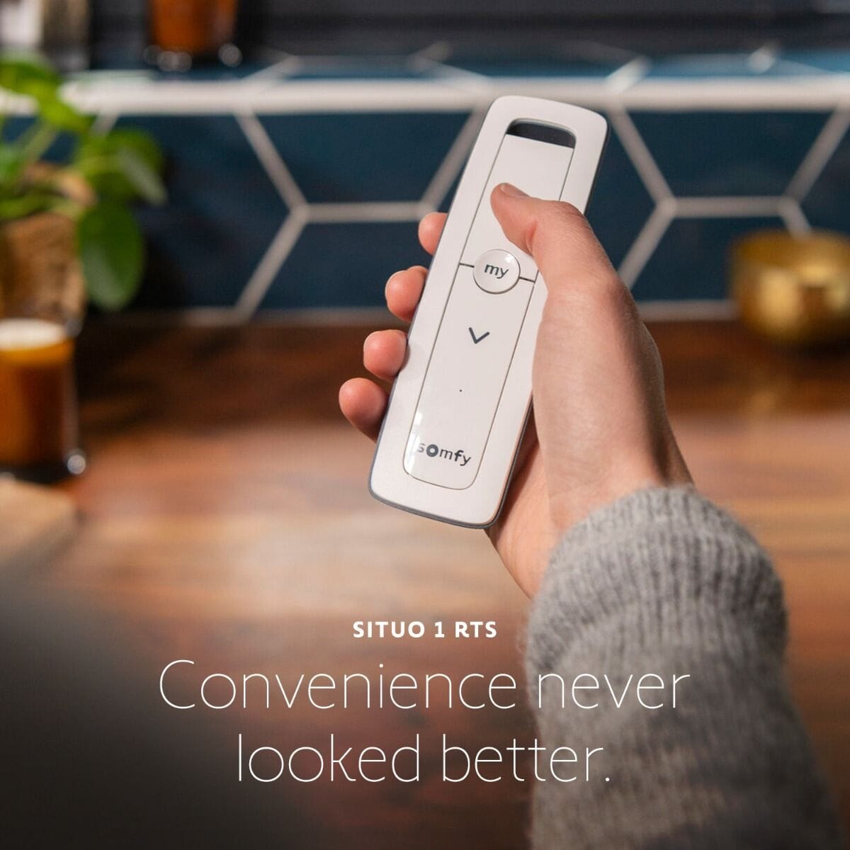 Somfy Remote Control - iPhone App - Tahoma - Alexa